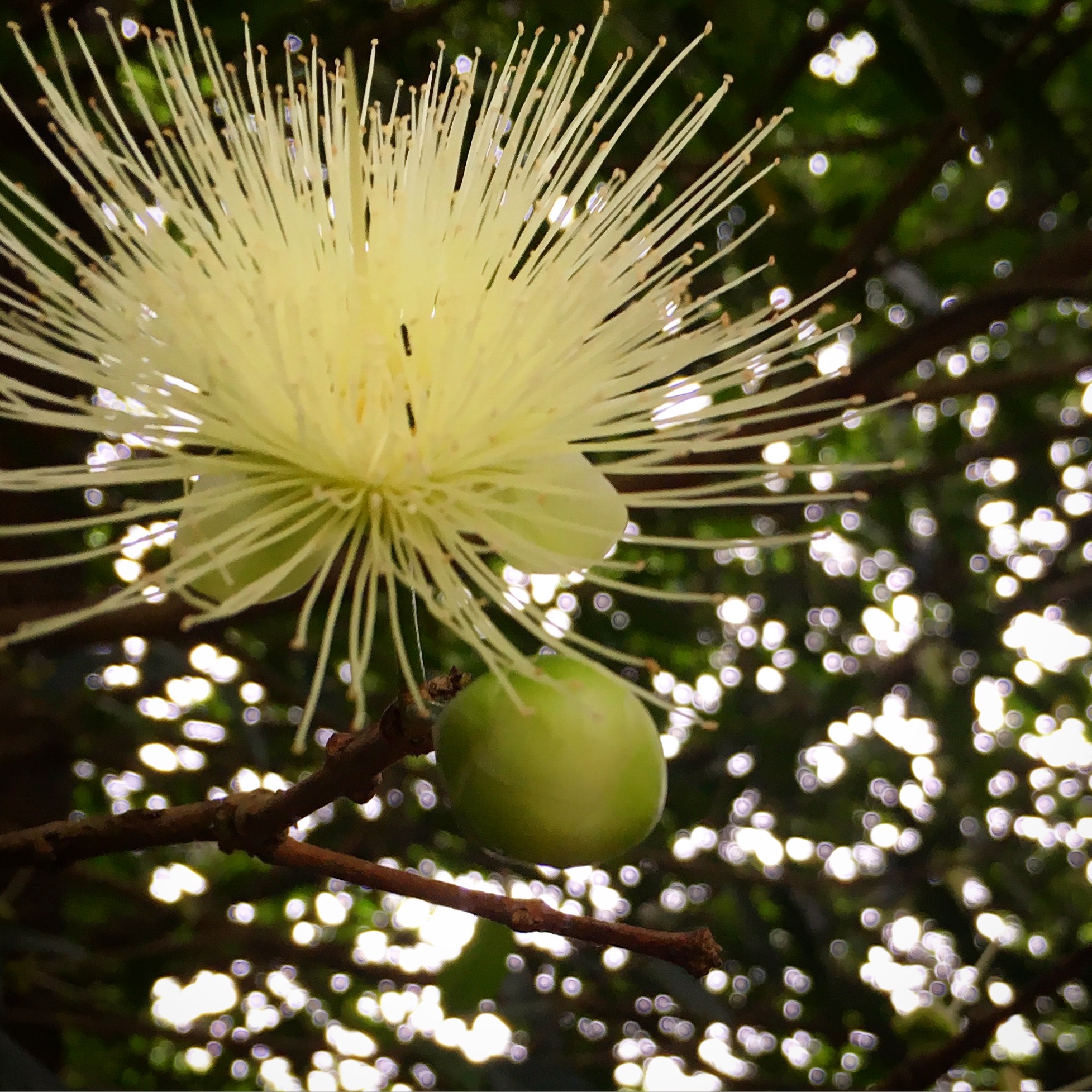 Iframe Embedding: Why and How - Erkin Ötleş